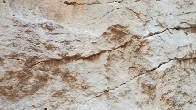 Caminho del Rei-El Choro-Málaga_2023