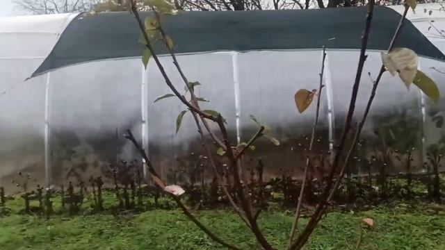 25 ноября 2023г.Мой дом.Закончила стену.Обзор дачи.