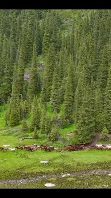 #видео #красивоевидео #красиваяпесня #ai #aivideo #video #katyboro  #рекомендации