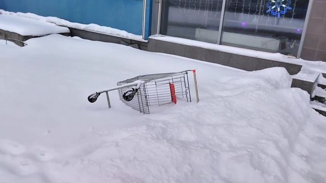 После праздничное настроение в Московской области