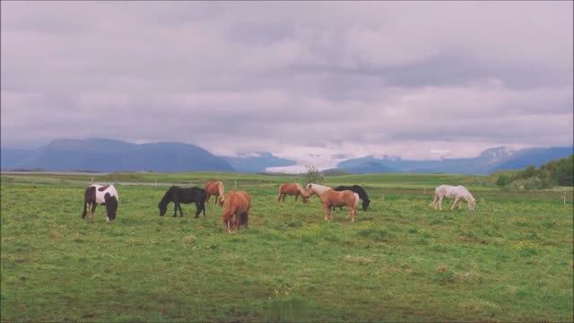СПОКОЙНЫЕ МЕЛОДИИ ДЛЯ ОТДЫХА