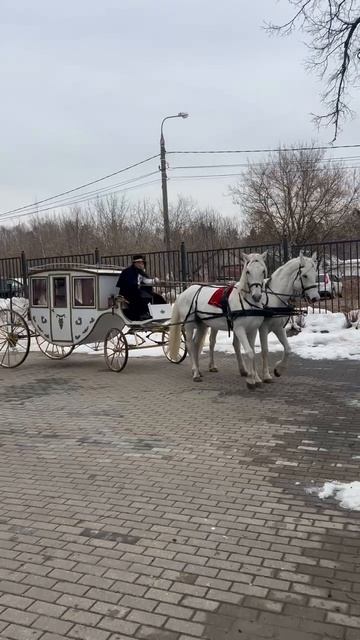 Катание в закрытой карете