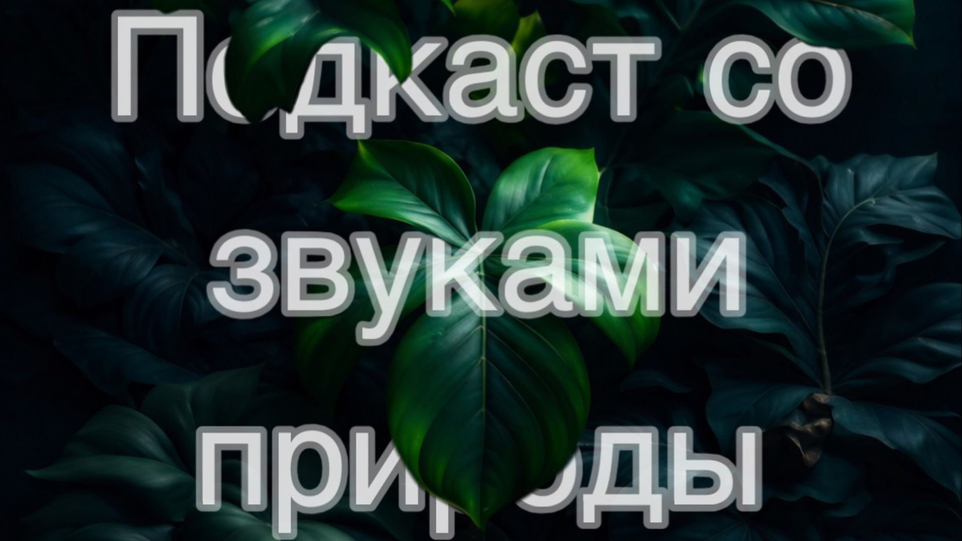 Звуки стука капель дождя по подоконнику за окном