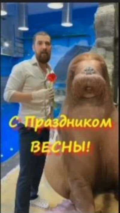 💐С 8 МАРТА💐 Сильные и настоящие!  https://t.me/marina_pro_bizz   #деньги #заработок #мотивация