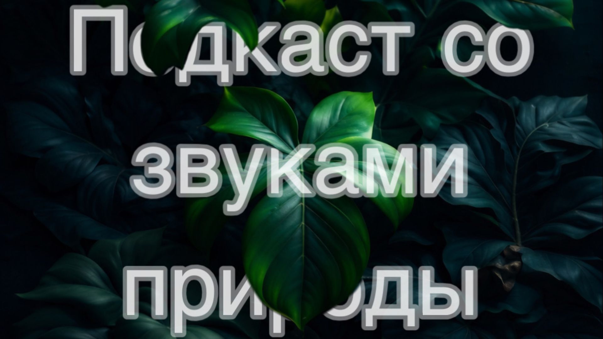 Пение птиц в  городском парке