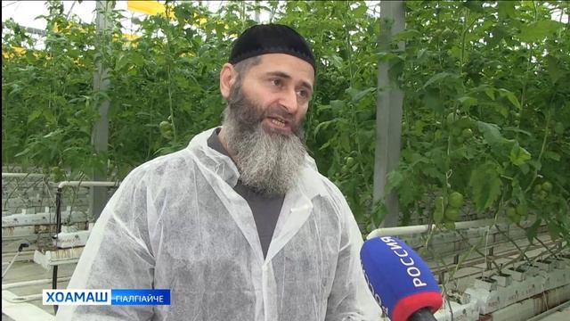 Г1Р г1олларча Россельхознадзора викалаш т1ахьожам д1абихьар «Сунжа» яхача агрокомплексе