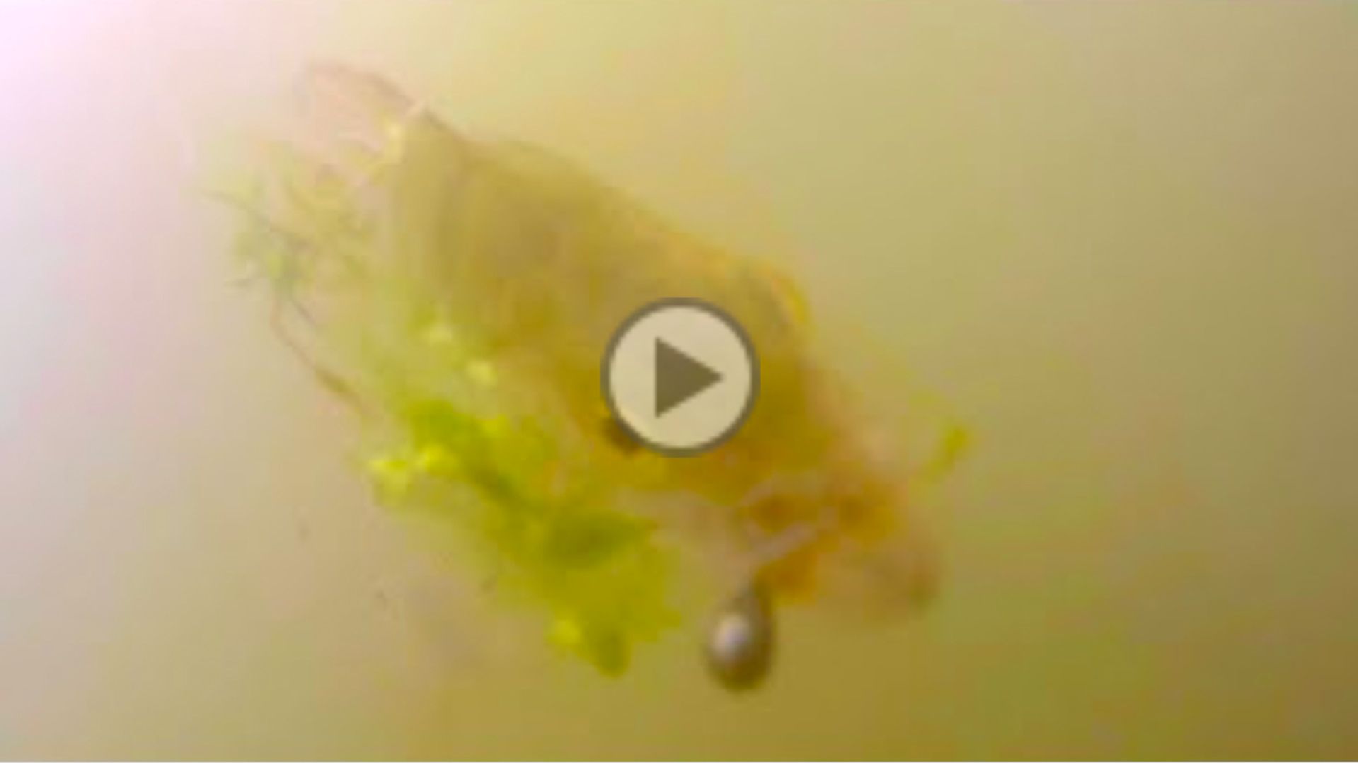 МОРМЫШИНГ НА МУЛЬТ? Да легко!!! кастинг уьтралайт