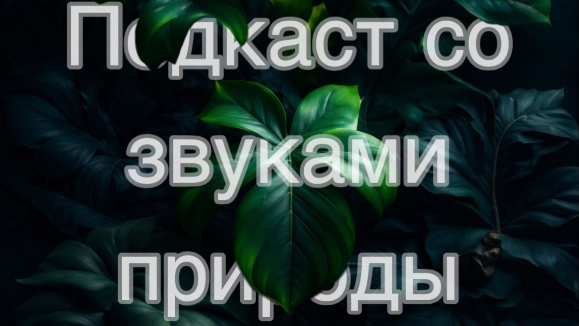 Пение птиц