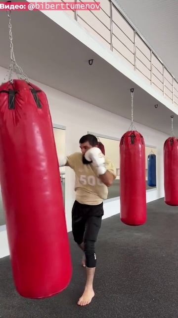 Удары как из ПУШКИ! Туменов продемонстрировал свою МОЩЬ на груше