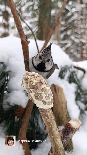 То снег, то дождь.