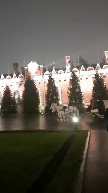 Катание в открытой карете - в городе