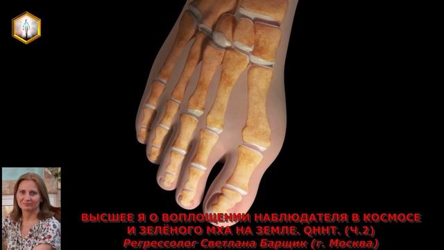 ВЫСШЕЕ Я О ВОПЛОЩЕНИИ НАБЛЮДАТЕЛЯ В КОСМОСЕ И ЗЕЛЁНОГО МХА НА ЗЕМЛЕ. QHHT. (ч.2)