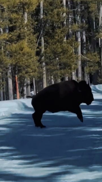 Когда скоро ВЕСНА 🌺😅👍 👉