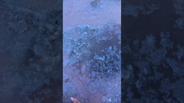 Уникальное розовое соленое озеро в КАЛМЫКИИ