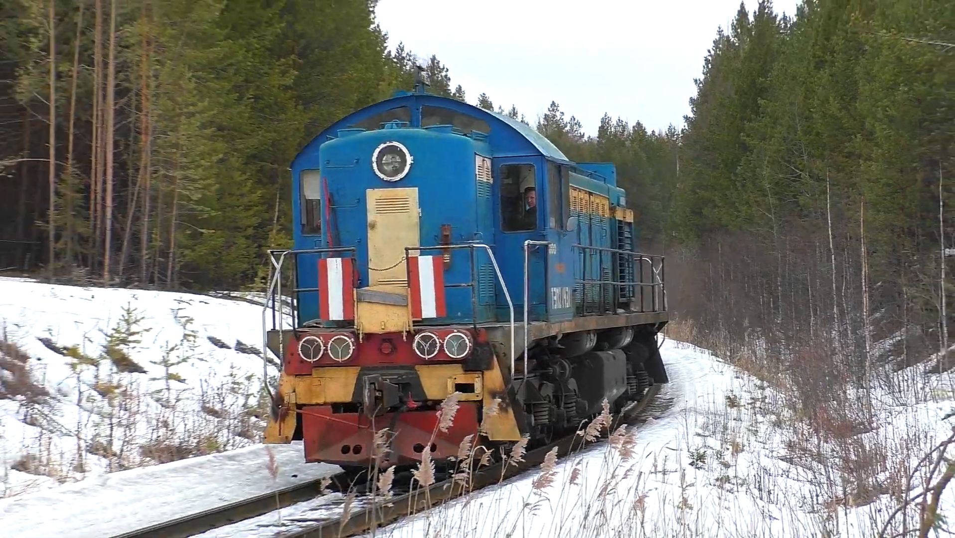 "Лесной обитатель". ТЭМ2-1431 следует резервом