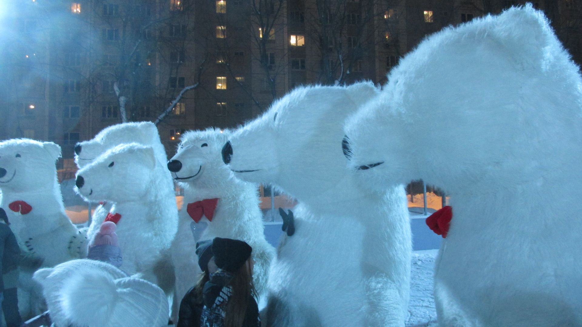 2026_17 Парад белых медведей