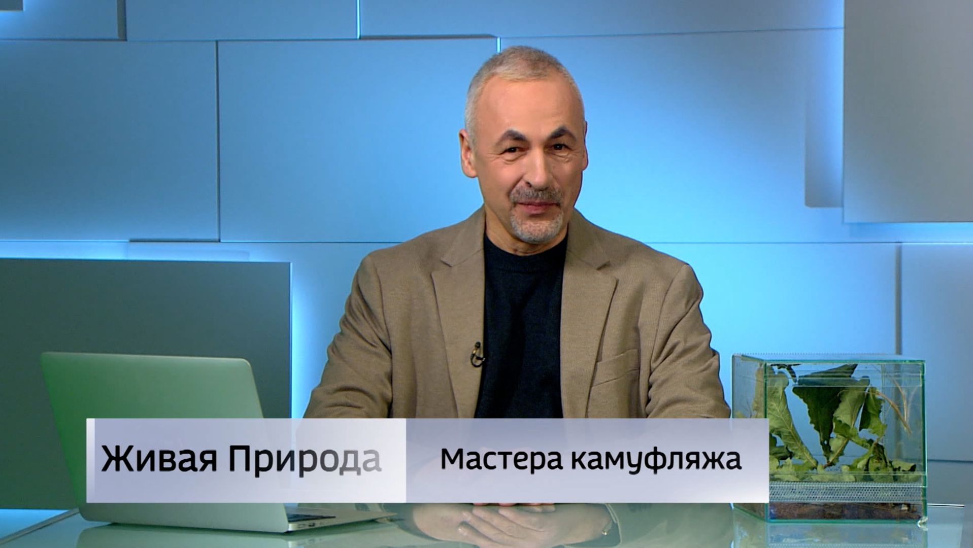 Живая природа. "Мастера камуфляжа"