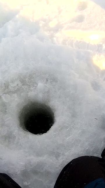 На глубине всё те же( Рыбалка на озере, ловим окуня на мормышку!