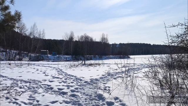 Липецкая_обл._Где_то_на_побережье_Липецкого_водохранилища_23.02.25