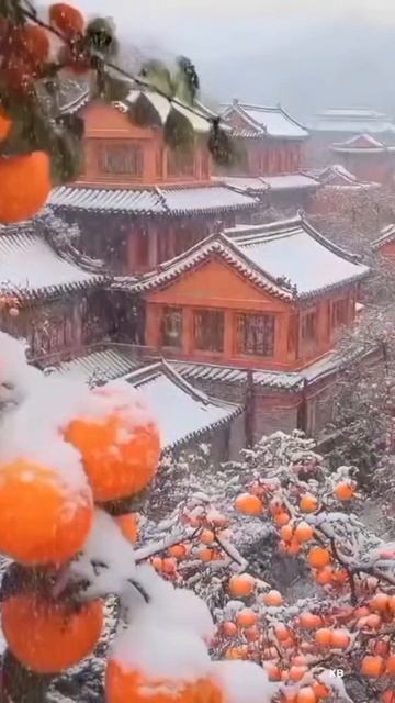 #видео #красивоевидео #красиваяпесня #ai #aivideo #video #katyboro  #рекомендации