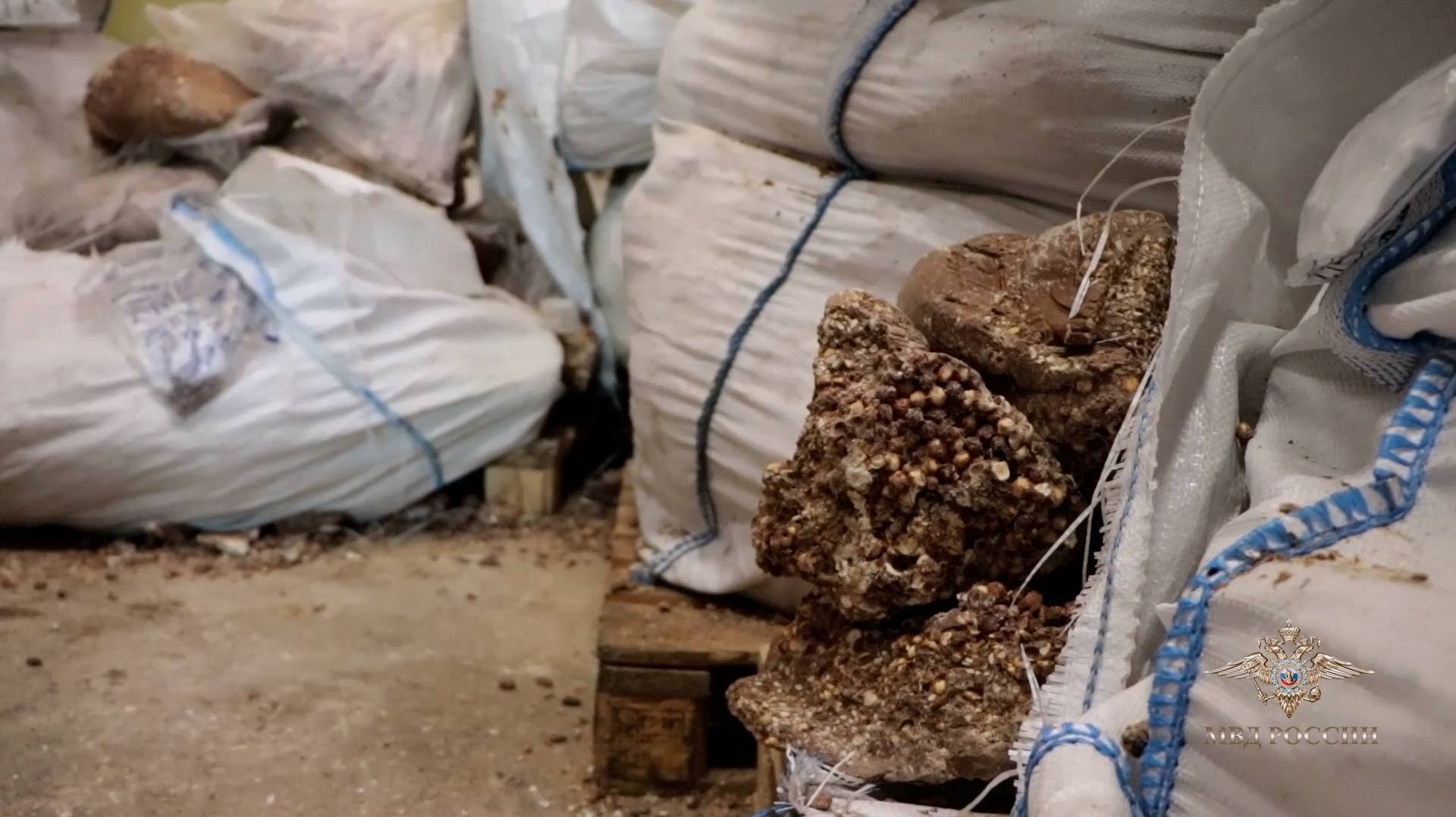 Полицейские пресекли незаконное производство шоколадной продукции