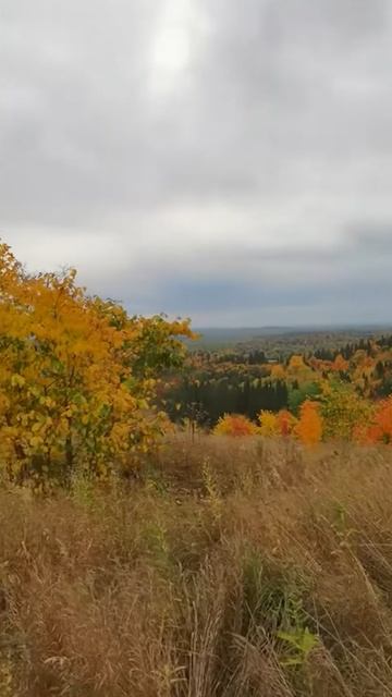 Мощные велосипедисты Перми летят на Белую Гору #велосипед #mtb