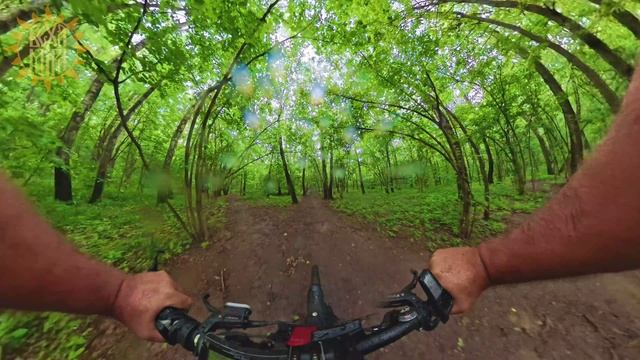 Несостоявшееся свидание.