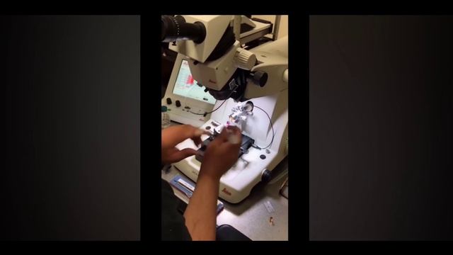 ультрамикротом на русском обучение