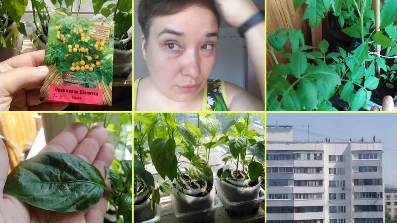 35-2024 Узнала кое что, делюсь! Рассада горит. Влог из потеряшек __ Elena Pero