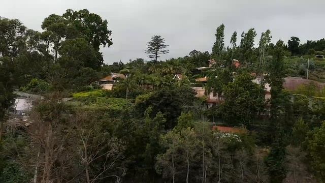 20170613 Madeira Cable Car 8