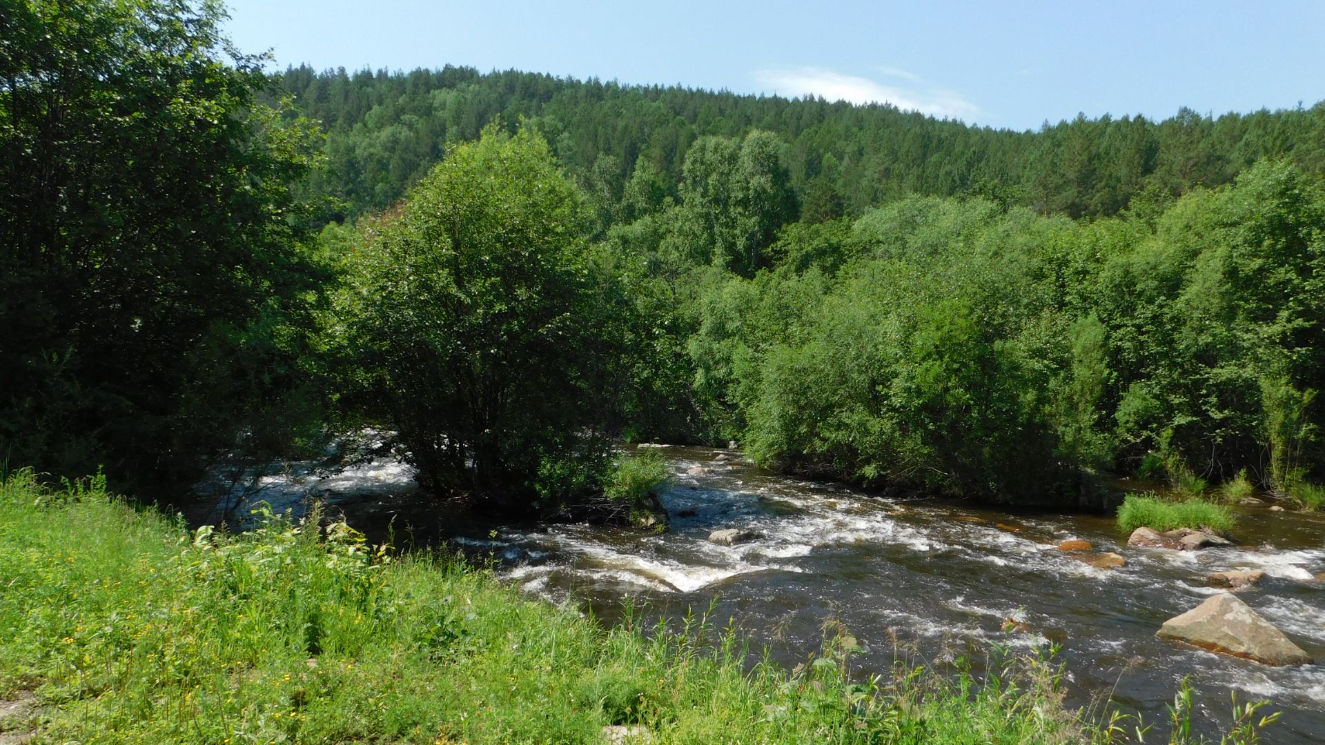 ЛЕТО в Забайкальском крае. (Из цикла ВРЕМЕНА ГОДА)