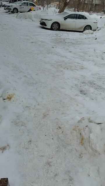 №1558 Двор Г. Звезда 73-Красноармейская 52 26 февраля 2026 г., 17:39:35 VID_20260226_173833274