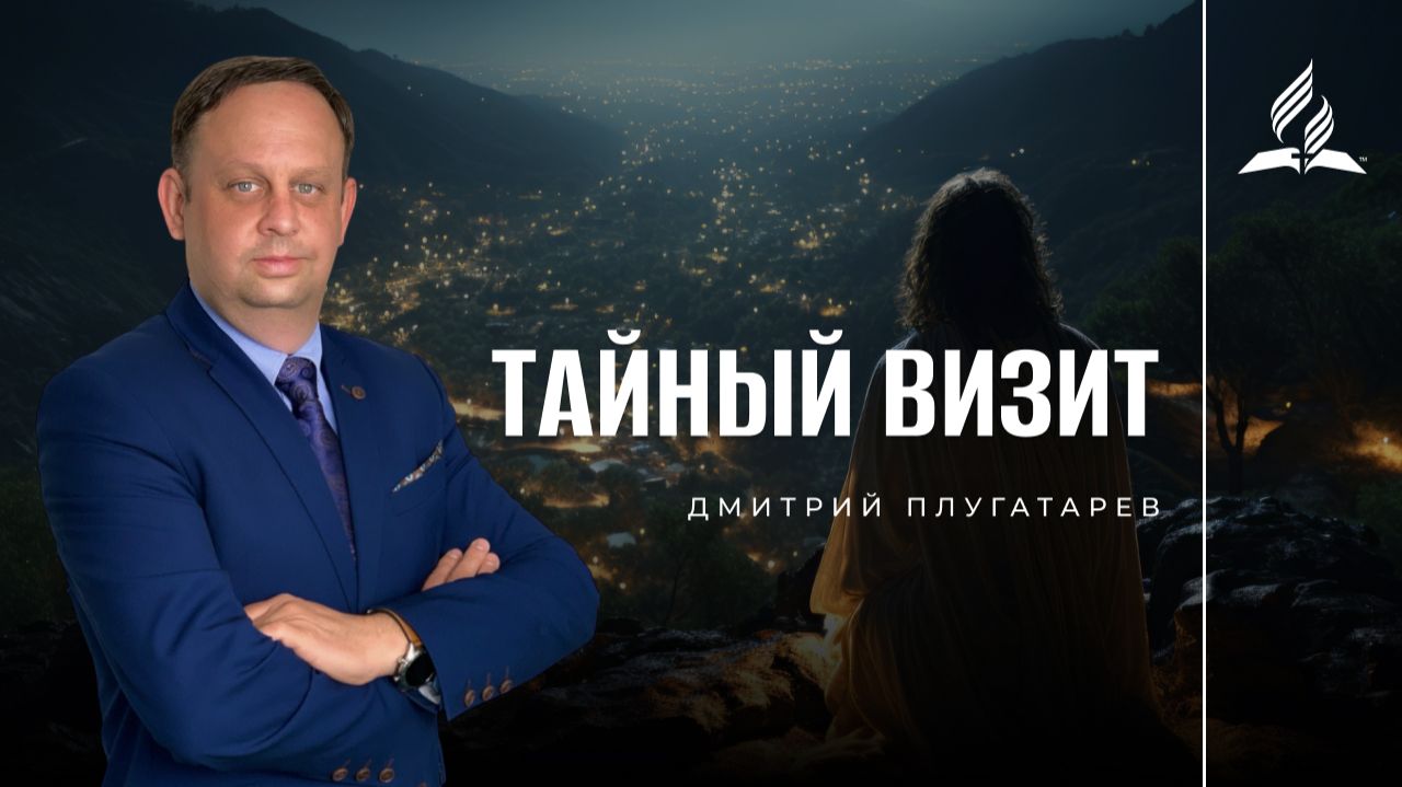 Тайный визит / Плугатарев Дмитрий