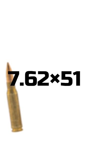 ТОП-5 ШТУРМОВЫХ ВИНТОВОК! #shorts #охота