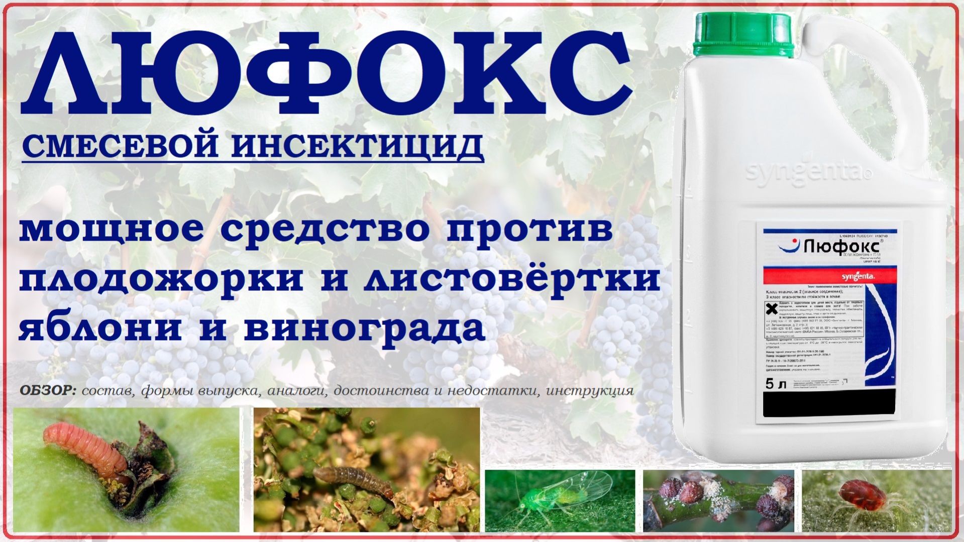 Люфокс - мощное средство от плодожорки и листовёртки на яблоне и винограде. Обзор инсектицида