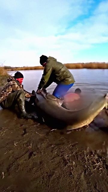 Случай на рыбалке. Это схватило рыбака на берегу речки