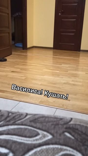Василиса, кушать!