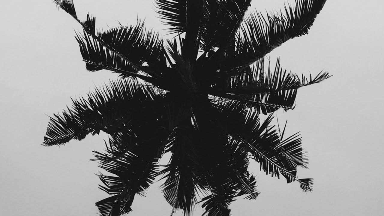 Hrederik & Bio Bros  - Time (Visualization)