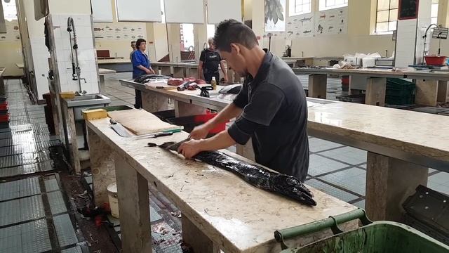 20170613 Madeira Espada 2