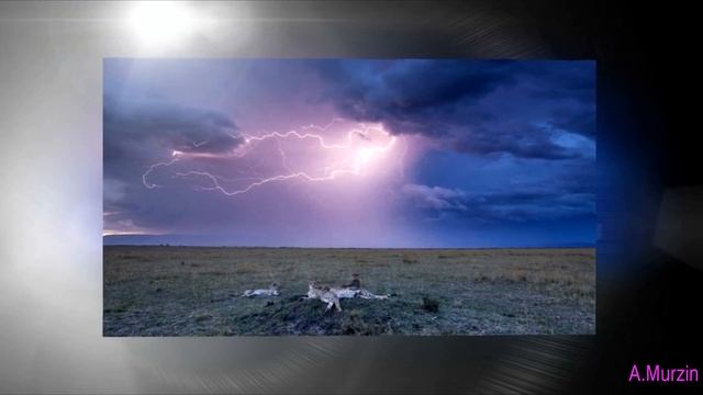 Тимофей Митин - Листопад