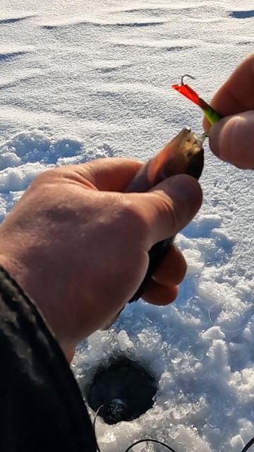 Окунёк #рыбалка