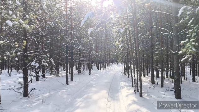 Липецкая_обл._Озеро_Ритц_16.02.25