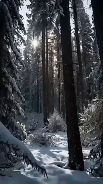 #видео #красивоевидео #красиваяпесня #ai #aivideo #video #katyboro  #рекомендации