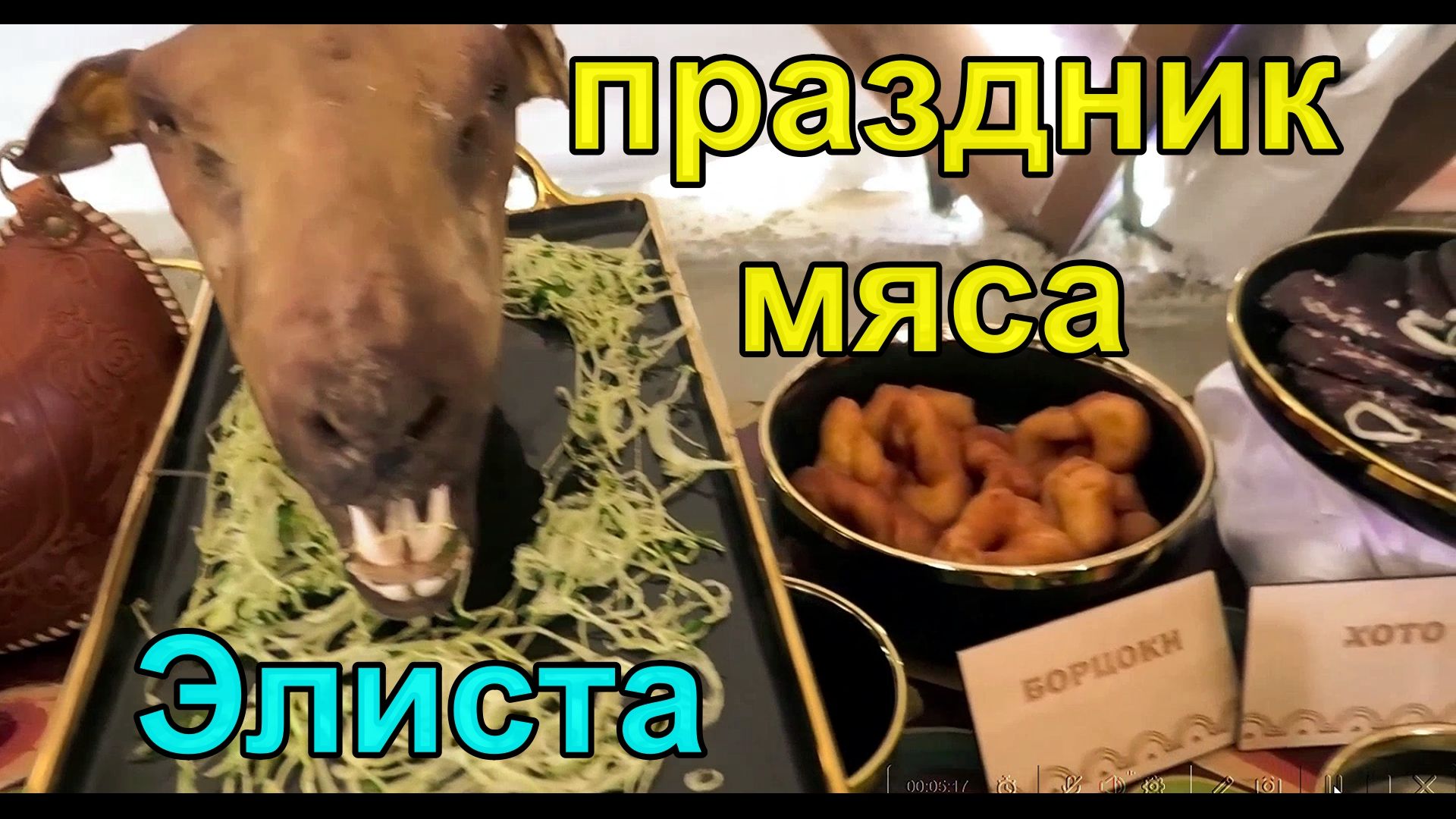 Элиста. Фестиваль мяса.Такое надо увидеть!