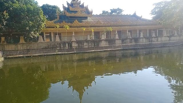 Янгон, Мьянма, Пагода Шведагон, пруд. Январь 2026.