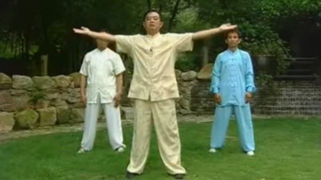 19 Поднять ци и направить в макушку Ли Чжэн