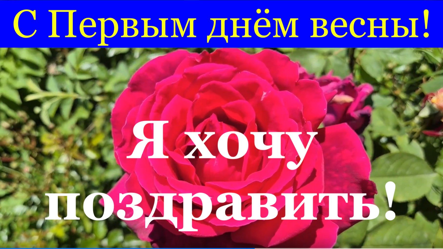 С Первым днём весны Я хочу тебя поздравить!