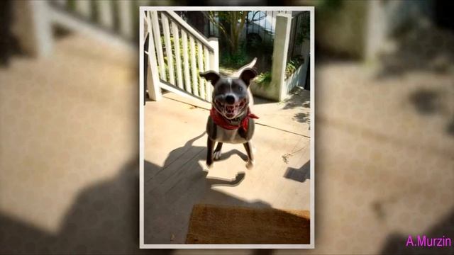 Тимофей Митин - Хамар-Дабан