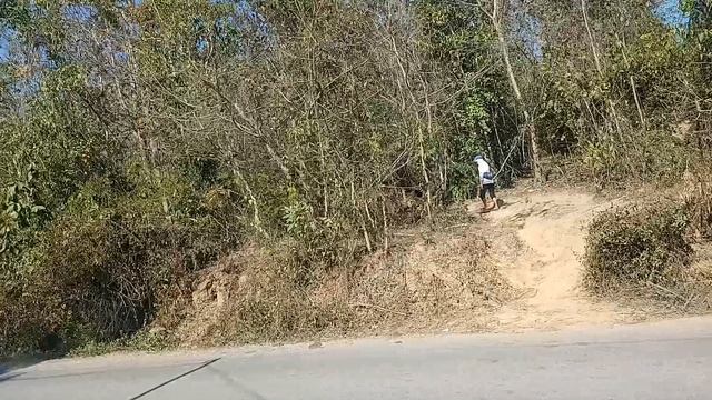 Луангпхабанг(Luang Prabang), слон уходит в кусты. Лаос. Январь 2026.