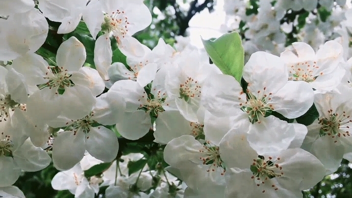 Наталья с днём рожденья поздравляем!
